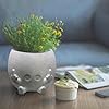 Amazon.com : Toparad Smiling Plant Pot with Middle Fingers Up, Face ...