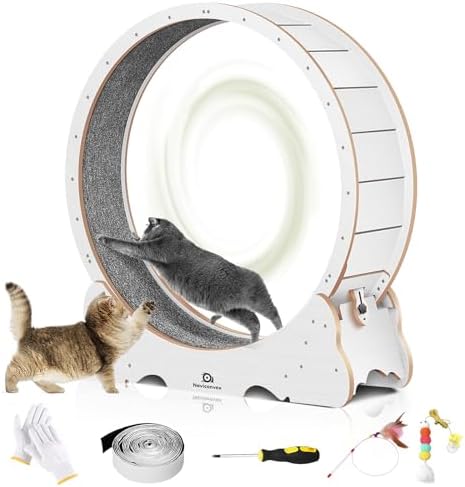 Amazon.com: Naviconvex Cat Wheel, 45 inch Large XL Cat Treadmill, Cat ...