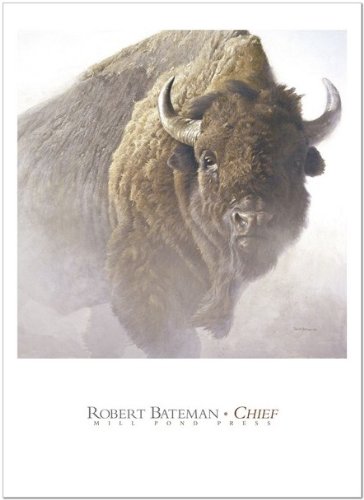 SMART ART - 'Chief (detail)' by Robert Bateman - Fine Art Print 26x36 ...