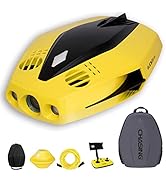 Amazon.com : CHASING Dory Underwater Drone - Palm-Sized 1080p Full HD ...