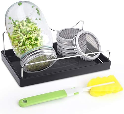 Amazon.com: Sprouting Jar Kit, 32 OZ 2 Large Wide Mouth Mason Jars with ...