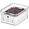 iDesign Fridge Storage Box for Fruit and Berries, Kitchen Storage Made ...