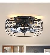 Amazon.com: 20 inch Bladeless Ceiling Fans with Lights, Low Profile ...
