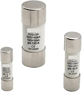 Amazon.com: Fuse AC 500V RO17 Fast Blow Ceramic Fuse Link RT18-125 ...
