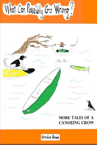 What Can Possibly Go Wrong? : Amazon.in: Books