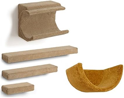 Amazon.com : Cradle + 3 Ramps + Wall Cup Cat Wall Climbing Package ...