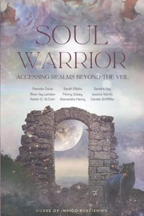 Soul Warrior: Accessing Realms Beyond the Veil : Buy Online at Best ...