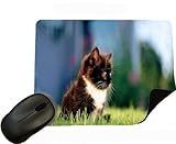 ・ブランド:Eclipse Gift Ideas・製造元:Eclipse Gift Ideas・モデル:Cat-07-M-pad・製造元/メーカー部品番号:Cat-07-M-pad・mousematと、ブラックラバー滑り止めの底・22 cm...