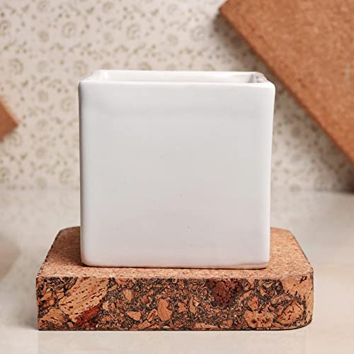 FlowerAura Classic White Square Pot for Live Plants & Decorative ...