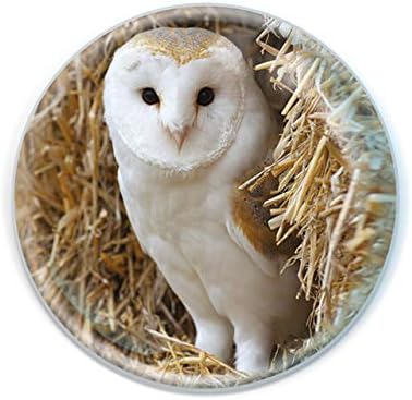 Magnidome - White Tiger from Deluxebase. White Tiger Crystal Glass ...