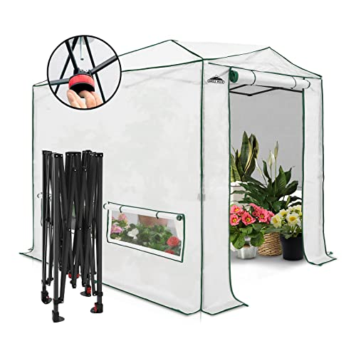 EAGLE PEAK 8x6 Portable, Heavy-Duty, Walk-in Pop-up Greenhouse, Indoor ...