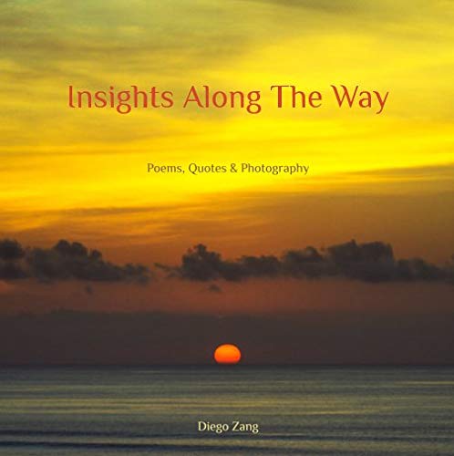 Insights Along The Way: Diego Zang: 9780368417696: Amazon.com: Books