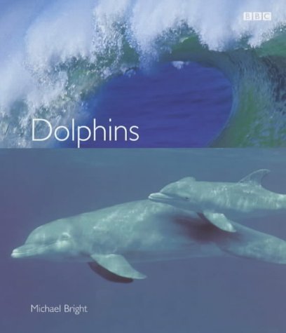 Dolphins: Bright, Michael: 9780563534082: Amazon.com: Books