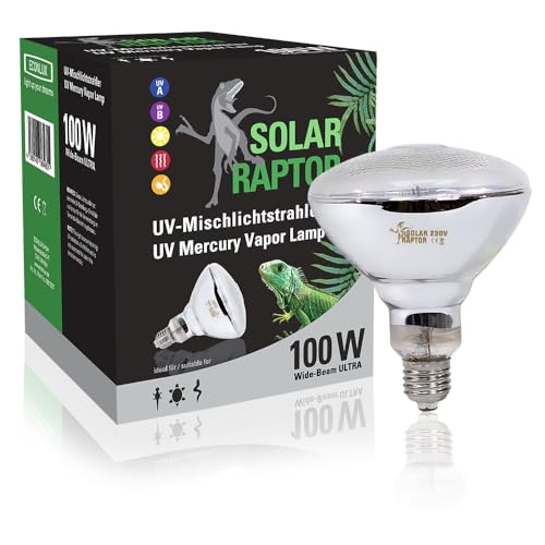 Solar Raptor – Die 15 besten Produkte im Vergleich & Angebote ...