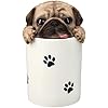 Amazon.com: Pacific Giftware Pug Figure as a Treat Box - Storage for ...