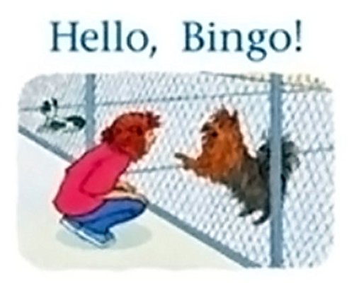 Hello, Bingo! : Amazon.in: Books