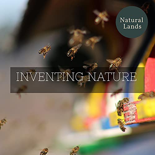 Amazon Music - VARIOUS ARTISTSのInventing Nature - Amazon.co.jp