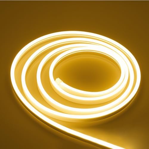 Lamomo Neon LED Strip Light, 12V 5m Dimmable Warm White LED Lights ...