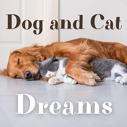 Amazon Music Unlimited - Jazz Pets Relax, Jazz Music for Dogs & Jazz ...