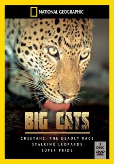 Amazon.com: National Geographic: Big Cats : Movies & TV