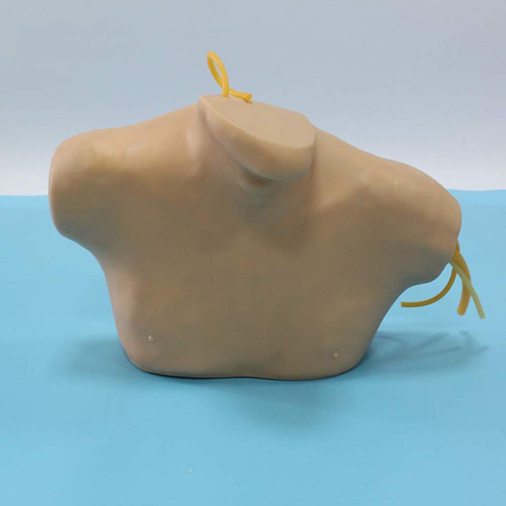 Buy GHTTHJ Human Anatomy Model - Central Venous Puncture Cannula Model ...