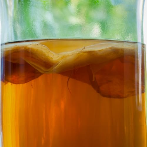 1 X Organic Kombucha Scoby - Live Culture by Scoby Kombucha - Smoke ...