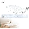 Amazon.com: EMOOR Washable Japanese Futon Mattress Twin White ...
