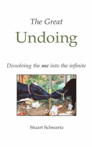 The Great Undoing: Schwartz, Stuart: 9780955399985: Amazon.com: Books