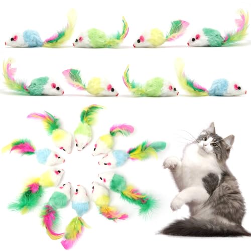 Amazon.it Bestseller: Gli articoli più venduti in Topolini e animali ...