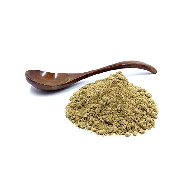 Best Botanicals Pumpkin Seed Powder 16 oz. - Insect Gourmet - Your ...