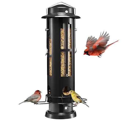 10 Best Rat-Proof Bird Feeders to Keep Your Feathered Friends Happy and ...
