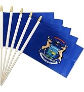 Amazon.com : Pack of 20, Handheld American Flags 8x12 Inch - USA Flags ...