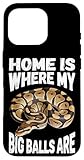 ・ブランド:ボールパイソン アクセサリー テラリウム スネーク オーナー Snake Lover Python・製造元:アマゾンによるマーチャンダイジング・モデル:WCA6BQM2ZTEJPIPHONE_16_PRO・製造元/メーカー部品番...