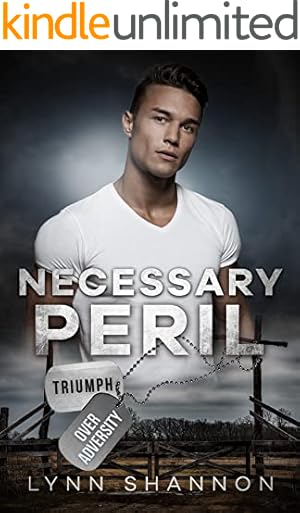 Amazon.com: Calculated Risk: Christian Romantic Suspense (Triumph Over Adversity Book 1) eBook ...