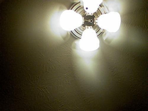 Amazon.com : Argus Sprout Yellow Digital Camera Li-on Battery : Point ...