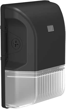 RAB Lighting RAB BRISK17FA30 Mini Wallpack 30W Select CCT 3000K-4000K ...