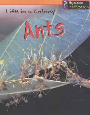 Amazon | Life in a Colony of Ants (Animal Groups) | Heinemann ...