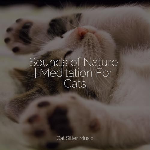 Amazon Music - Music For Cats TAのSounds of Nature | Meditation For Cats ...