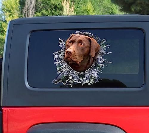 Amazon.com - Chocolate Labrador Window Sticker, Chocolate lab car Decal ...