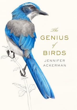 The Genius of Birds : Ackerman, Jennifer: Amazon.de: Books