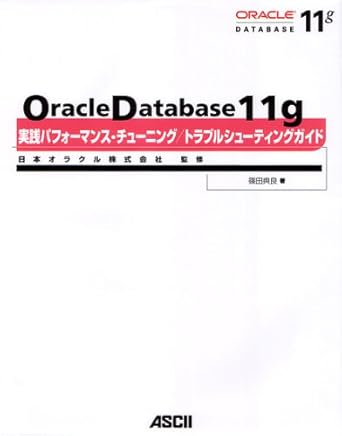 Oracle Database 11g Performance Tuning practice / Troubleshooting Guide ...