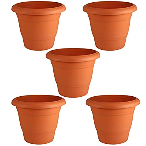 JANATA Plastic Brown Flower Pots for Home & Garden, Office, Hotel ...