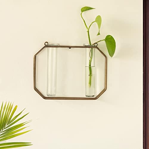 ExclusiveLane 'Modern Glass Garden' Test Tube Planter for Home Decor (7 ...
