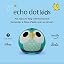Amazon Official: Echo Dot (5th Gen, 2022 release) Kids | Designed for ...