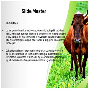 Cow Powerpoint Templates - Cow Powerpoint (PPT) Backgrounds | WantItAll