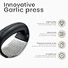 Amazon.com: Garlic Press Rocker - Stainless Steel Garlic Mincer Garlic ...