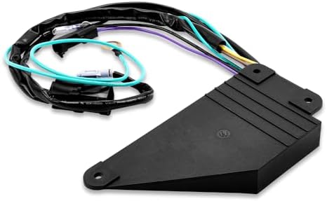 Amazon.com: Queencar 909510000 RV Step Control Unit Controller Assembly ...