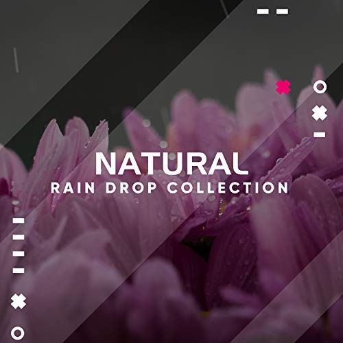 Amazon.co.jp: #18 Natural Rain Drop Collection for Relaxation and ...