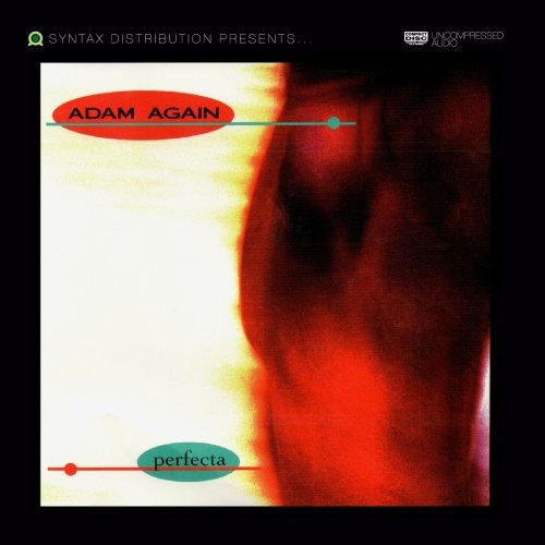 Perfecta: Adam Again: Amazon.in: Music}