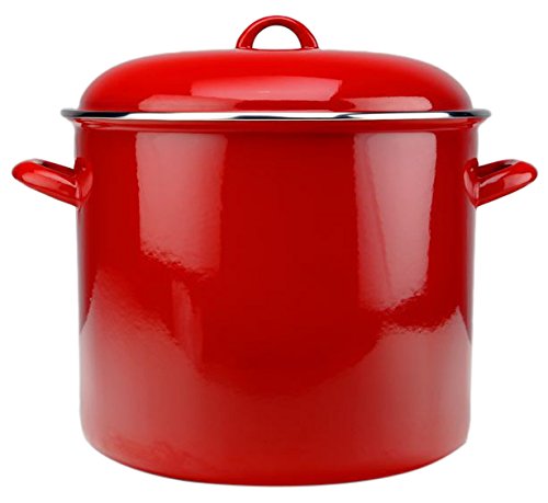 Europe Ware K15300/24 8.5 quart Stock Pot, Large, Red : Amazon.in: Home ...